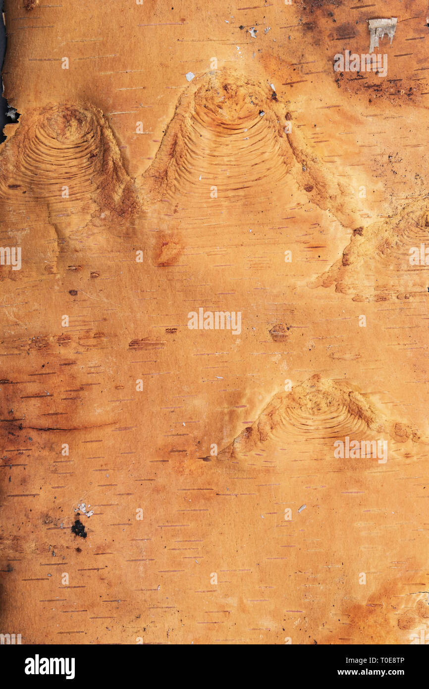 Seamy High Resolution Stock Photography and Images - Alamy