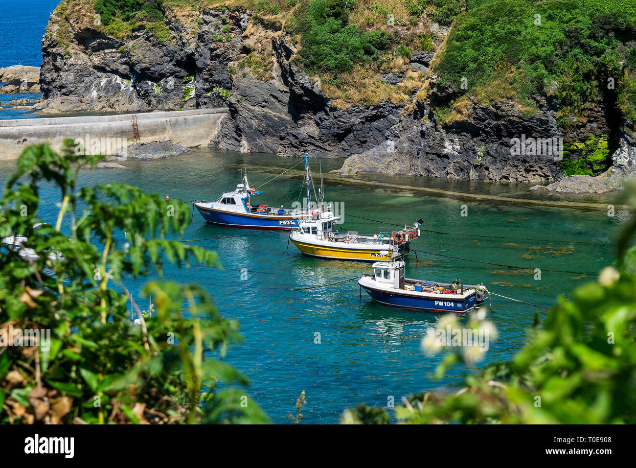 A view of the harbour of Port Isaac, in Cornwall, .The location for the ...