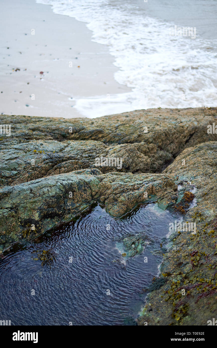 Seaside Rock Pool Stock Photos & Seaside Rock Pool Stock Images - Alamy