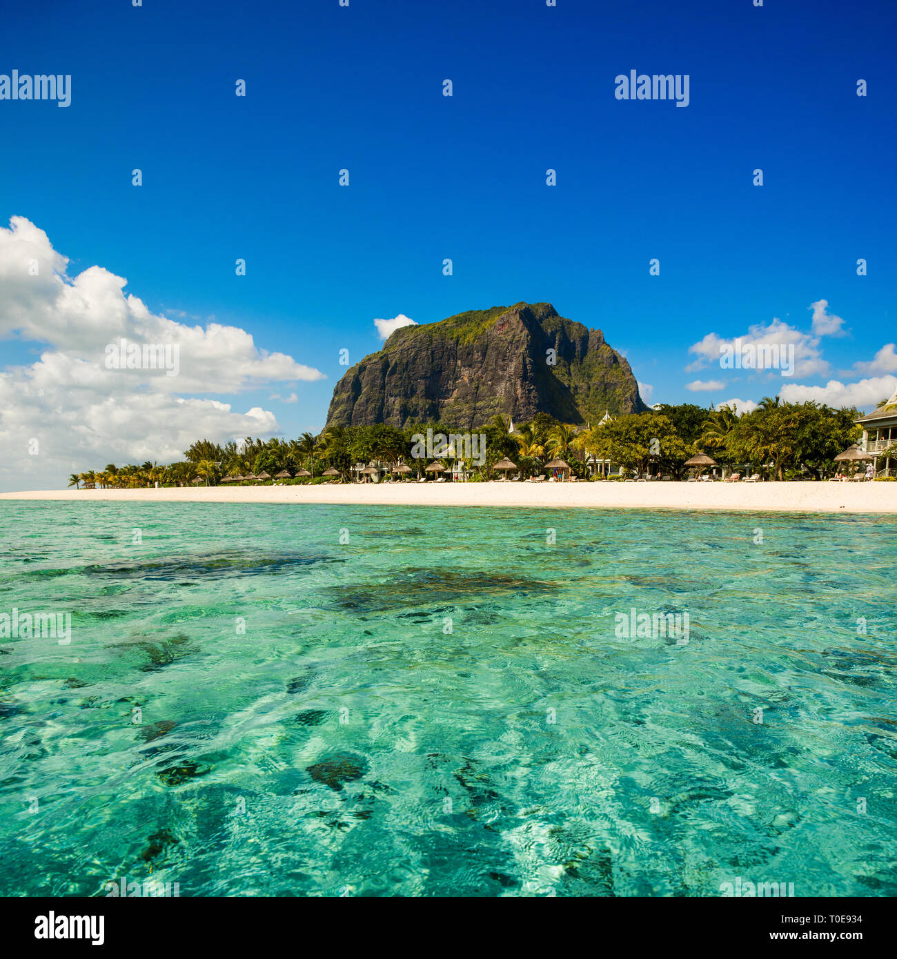 Landscape of tropical beach and famous Le Morne Brabant mountain in ...