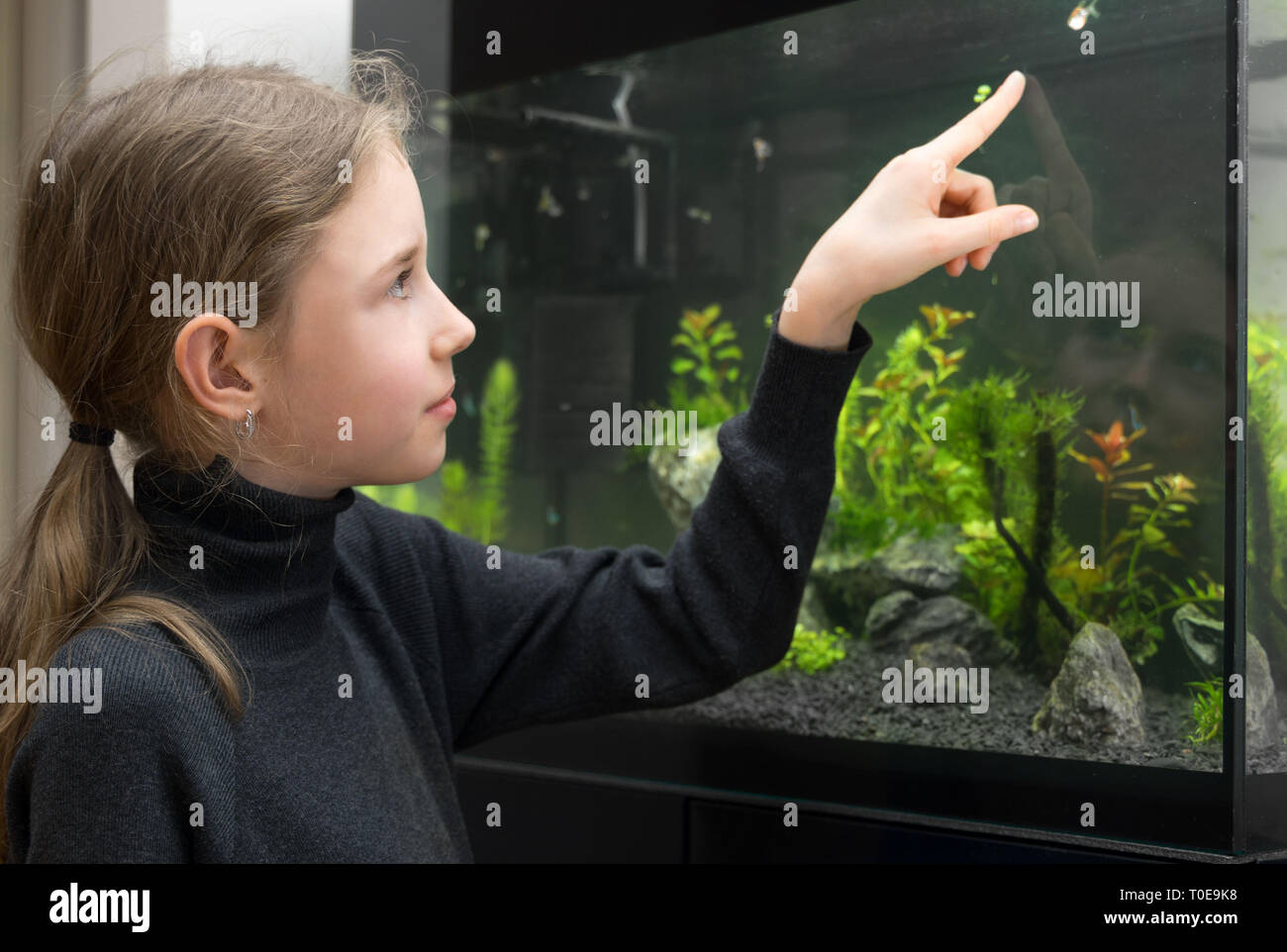 Child fish tank home hi-res stock photography and images - Alamy