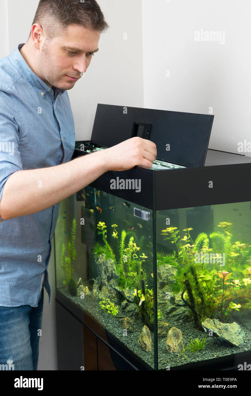 Aquarium zoo fish care hi-res stock photography and images - Alamy