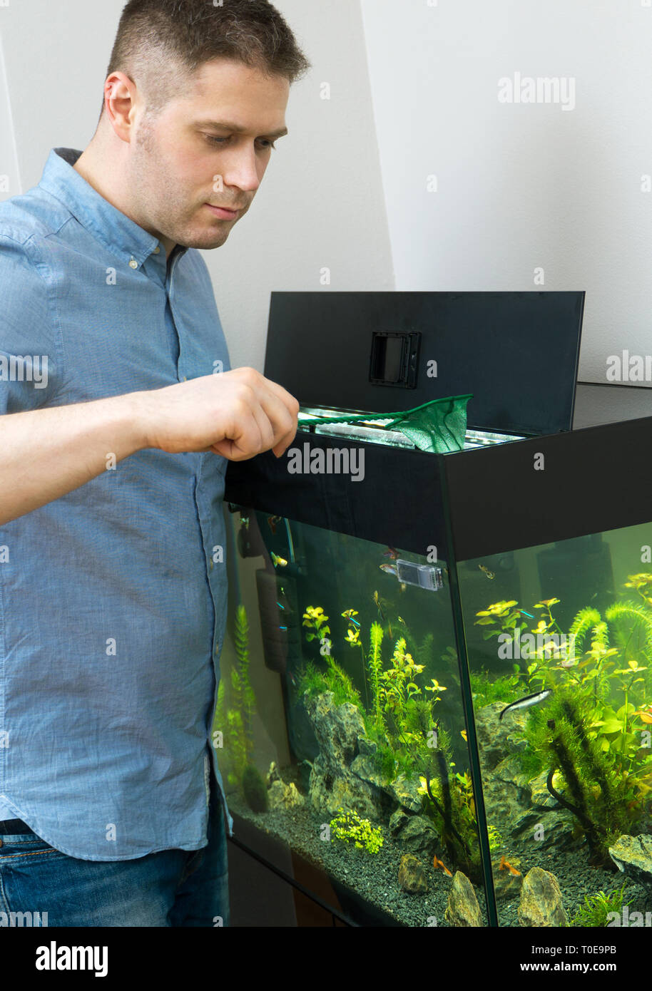 Catching fishes hi-res stock photography and images - Alamy