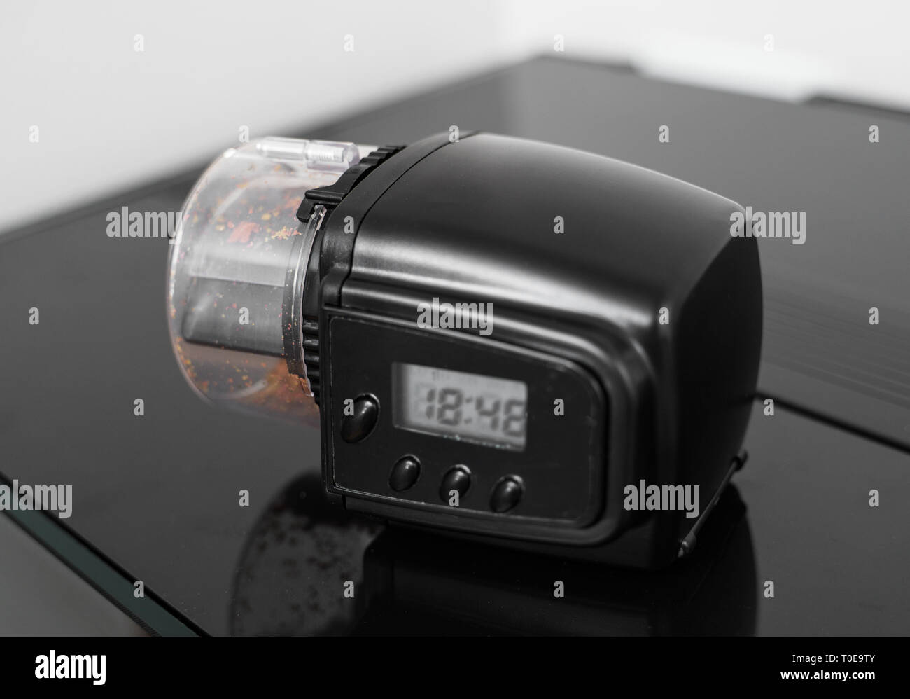 Control automatic pet feeder hi-res stock photography and images - Alamy