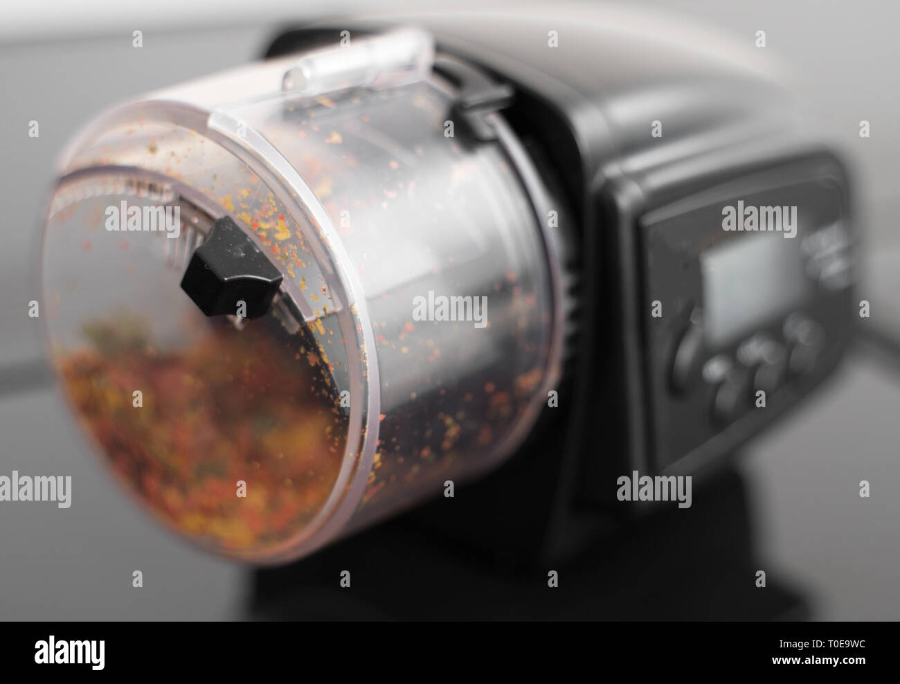 Control automatic pet feeder hi-res stock photography and images - Alamy