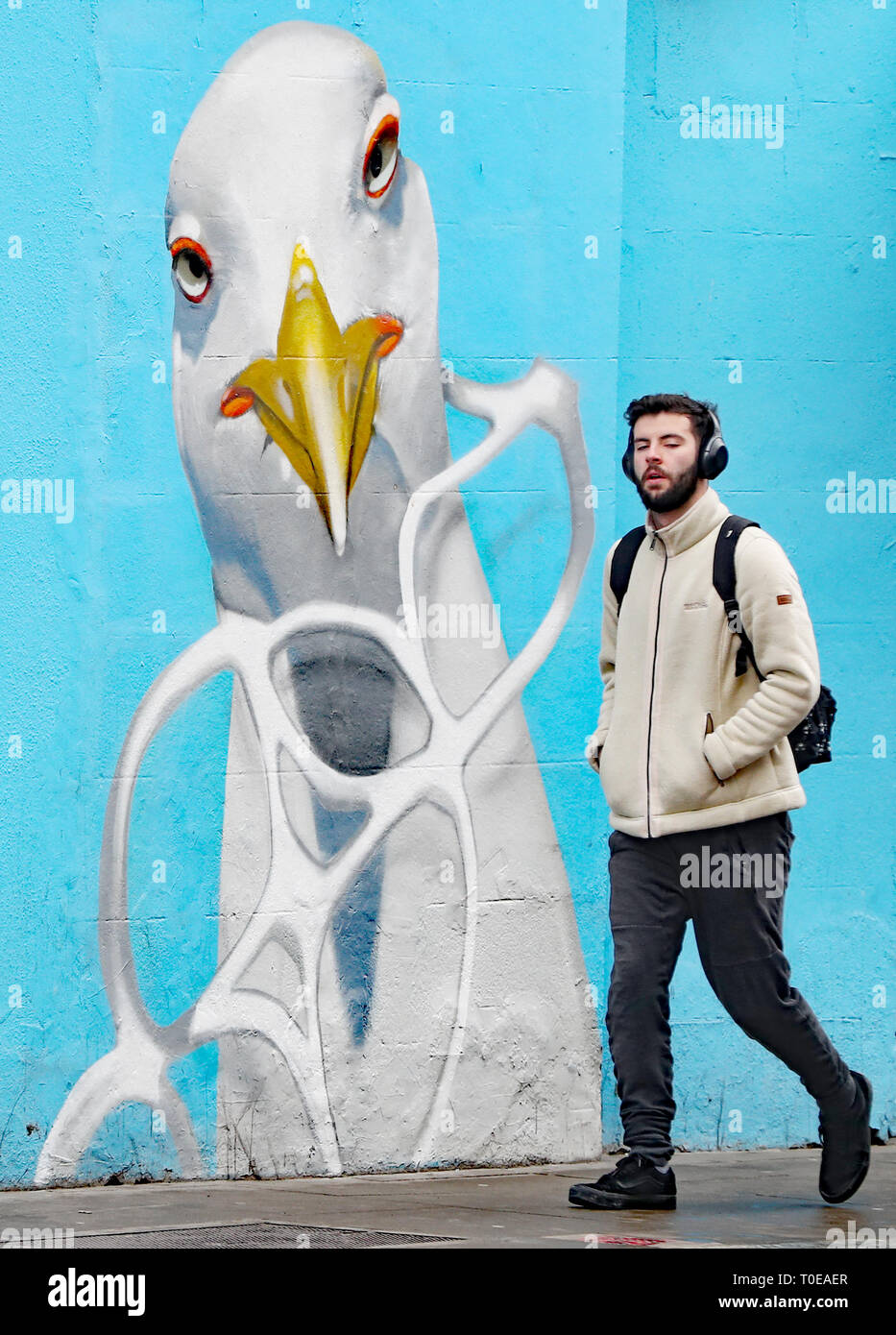 A man walks past a mural of a sea gull in Dublin which as recently been ...