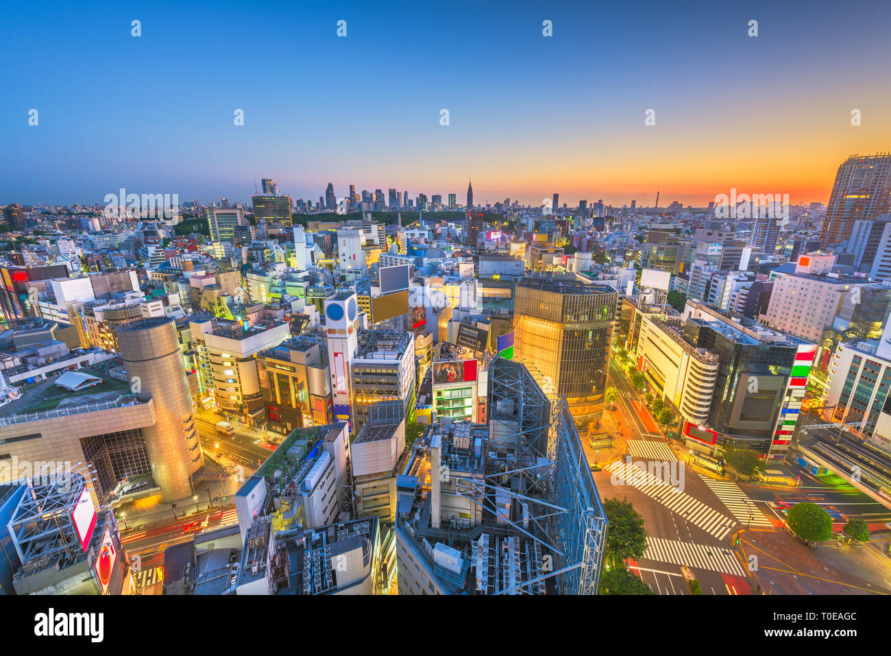 Tokyo, Japan city skyline over Shibuya Ward with the Shinjuku Ward skyline in the distance Stock ...