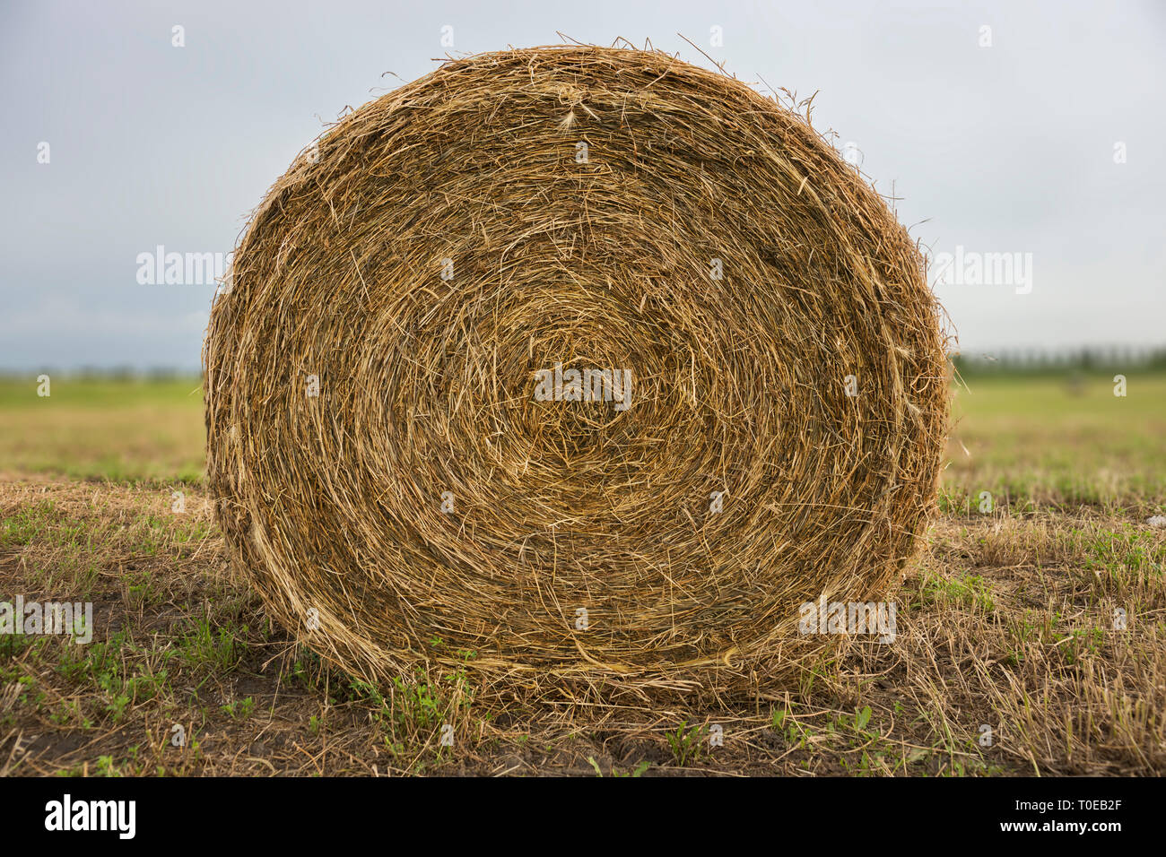 Agriculture roll haystack hi-res stock photography and images - Alamy