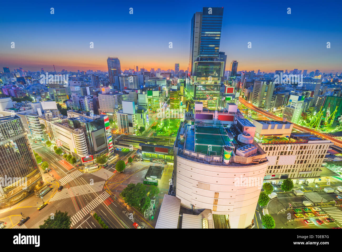 Tokyo, Japan city skyline over Shibuya Ward with the Shinjuku Ward skyline in the distance Stock ...