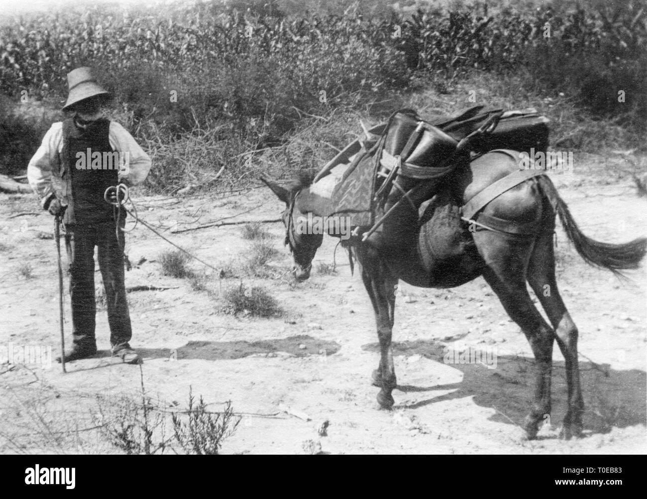 Man with donkey Black and White Stock Photos & Images - Alamy