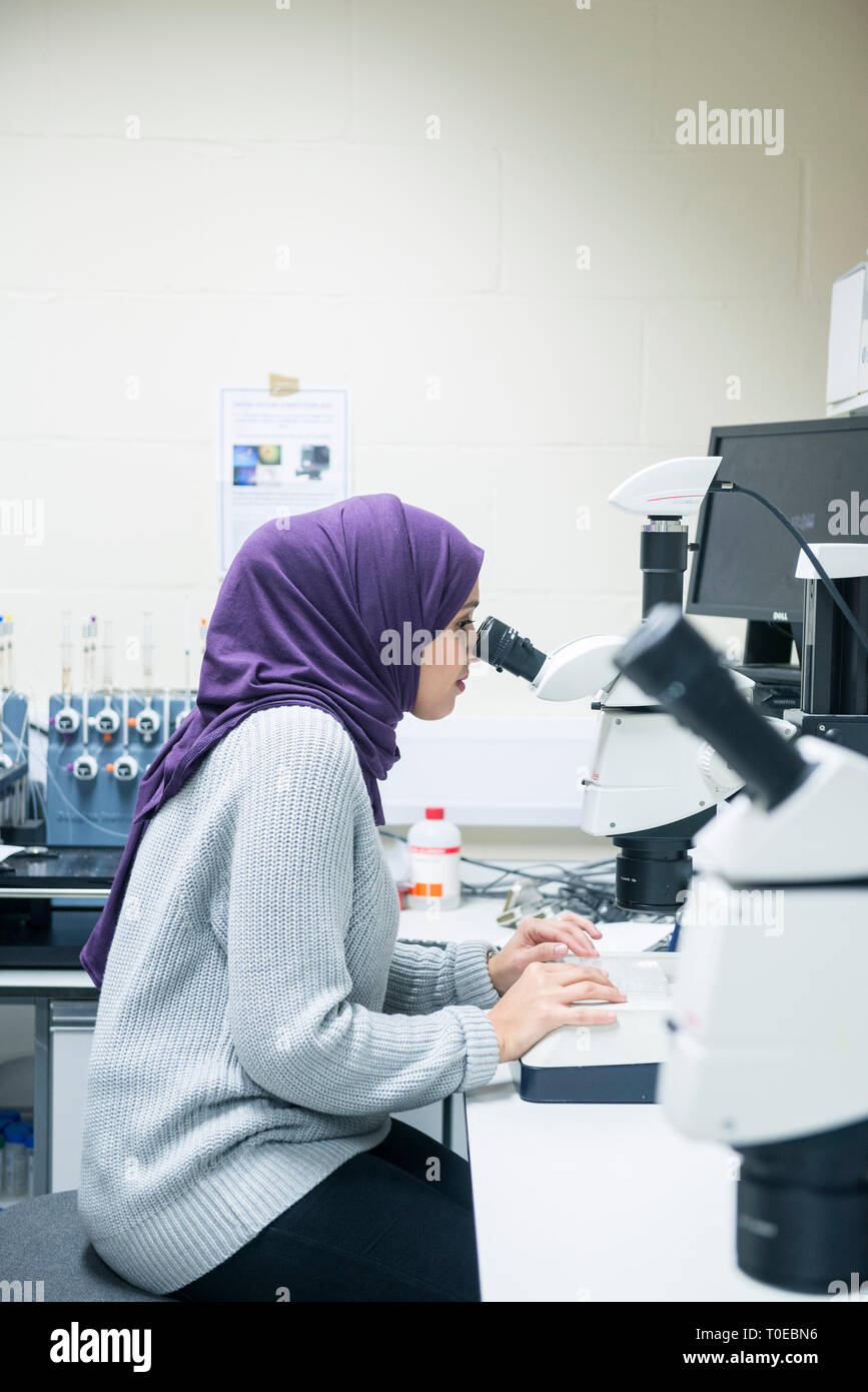 A muslim woman uses the scientific equipment in a research laboratory ...