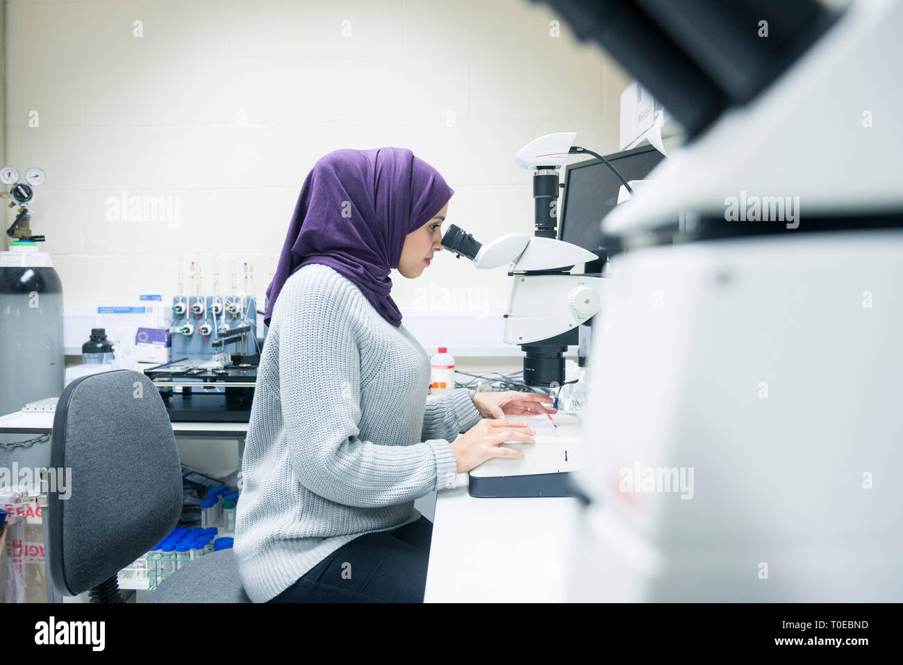 A muslim woman uses the scientific equipment in a research laboratory ...