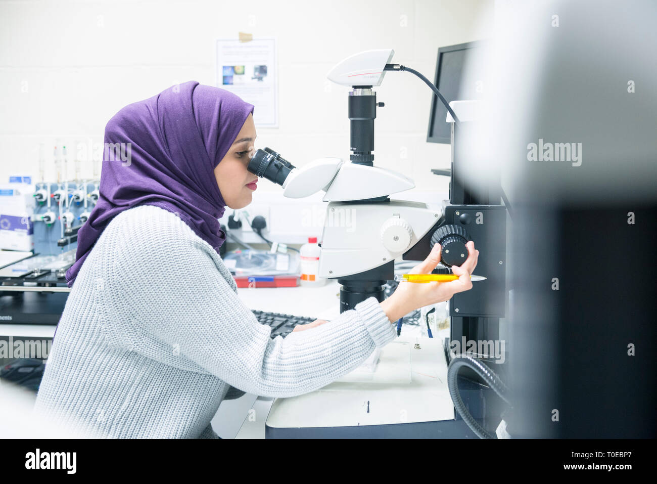 A muslim woman uses the scientific equipment in a research laboratory ...