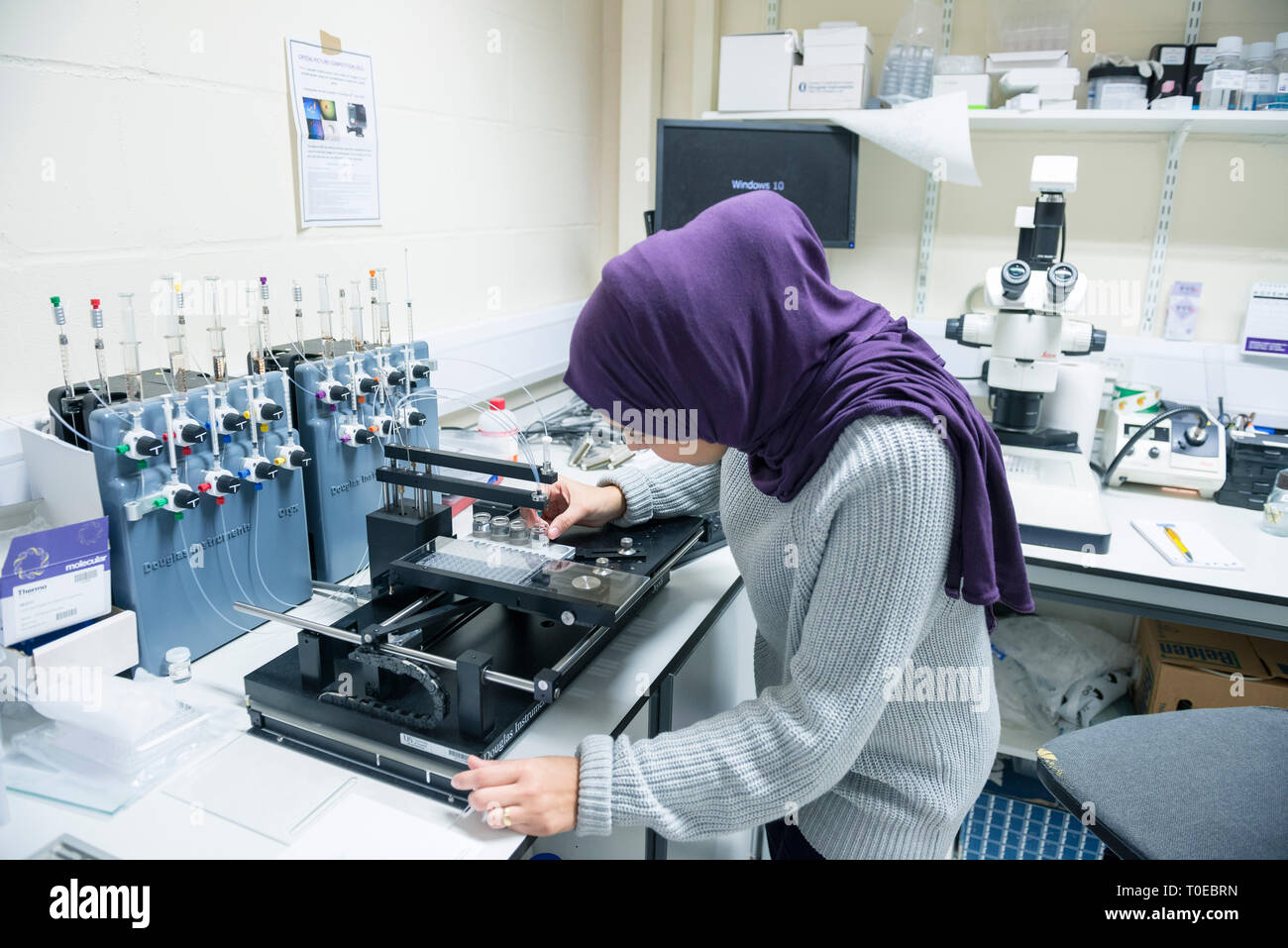 A muslim woman uses the scientific equipment in a research laboratory ...