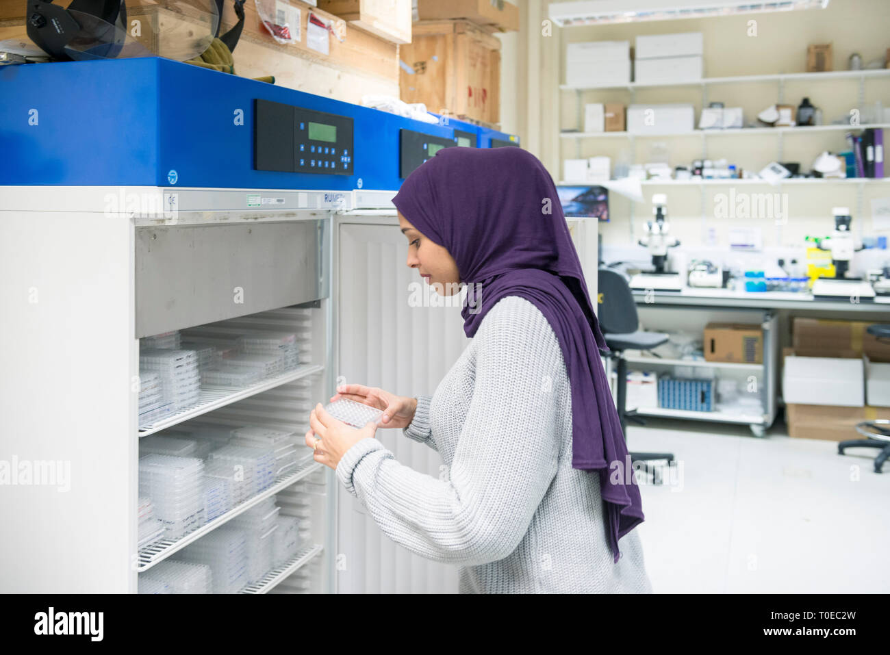 A muslim woman uses the scientific equipment in a research laboratory ...