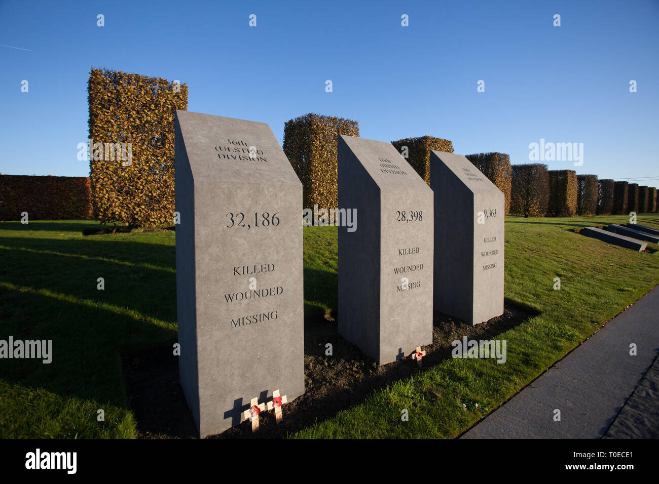 Irish peace park messines hi-res stock photography and images - Alamy