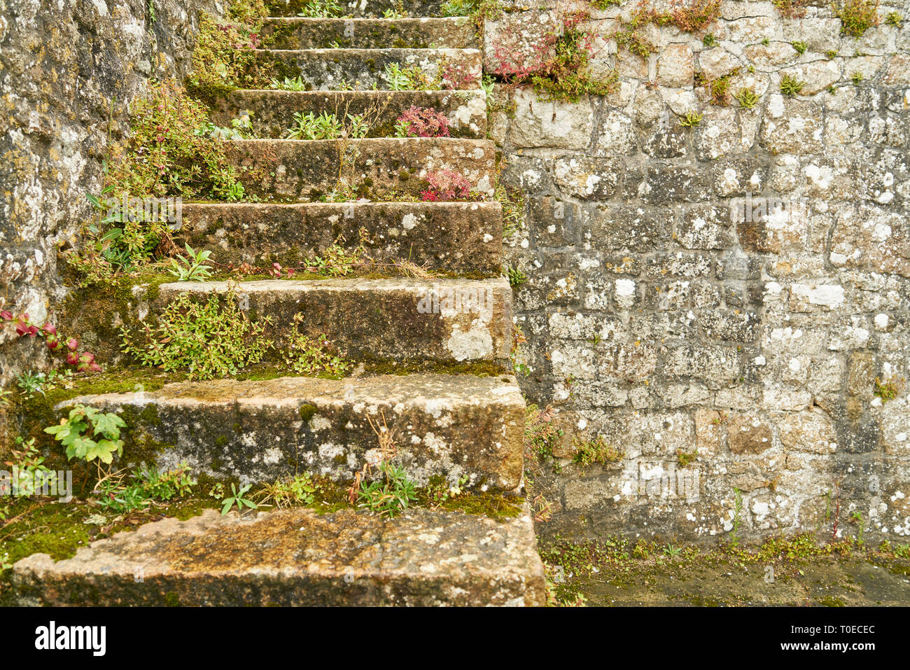 Old stairs made of stone in a castle Stock Photo - Alamy