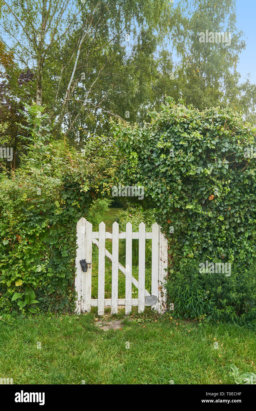 Front garden hedge hi-res stock photography and images - Alamy