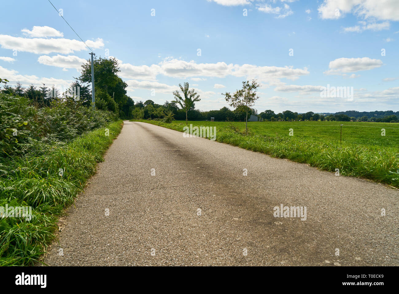 Empty country road next to meadow in summer in front of a blue sky with ...