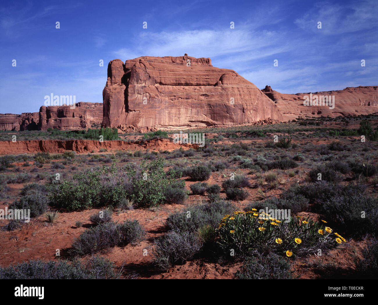 National monument wall hi-res stock photography and images - Alamy