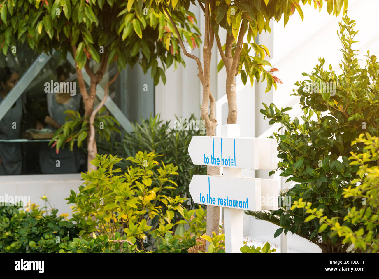 Wooden sign in the garden showing the way to the hotel and restaurant ...