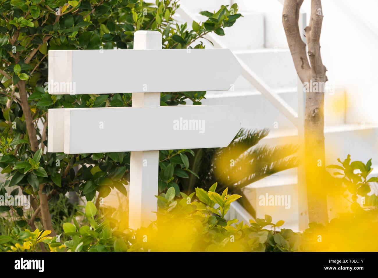 Empty wooden sign with two arrows in the garden Stock Photo - Alamy