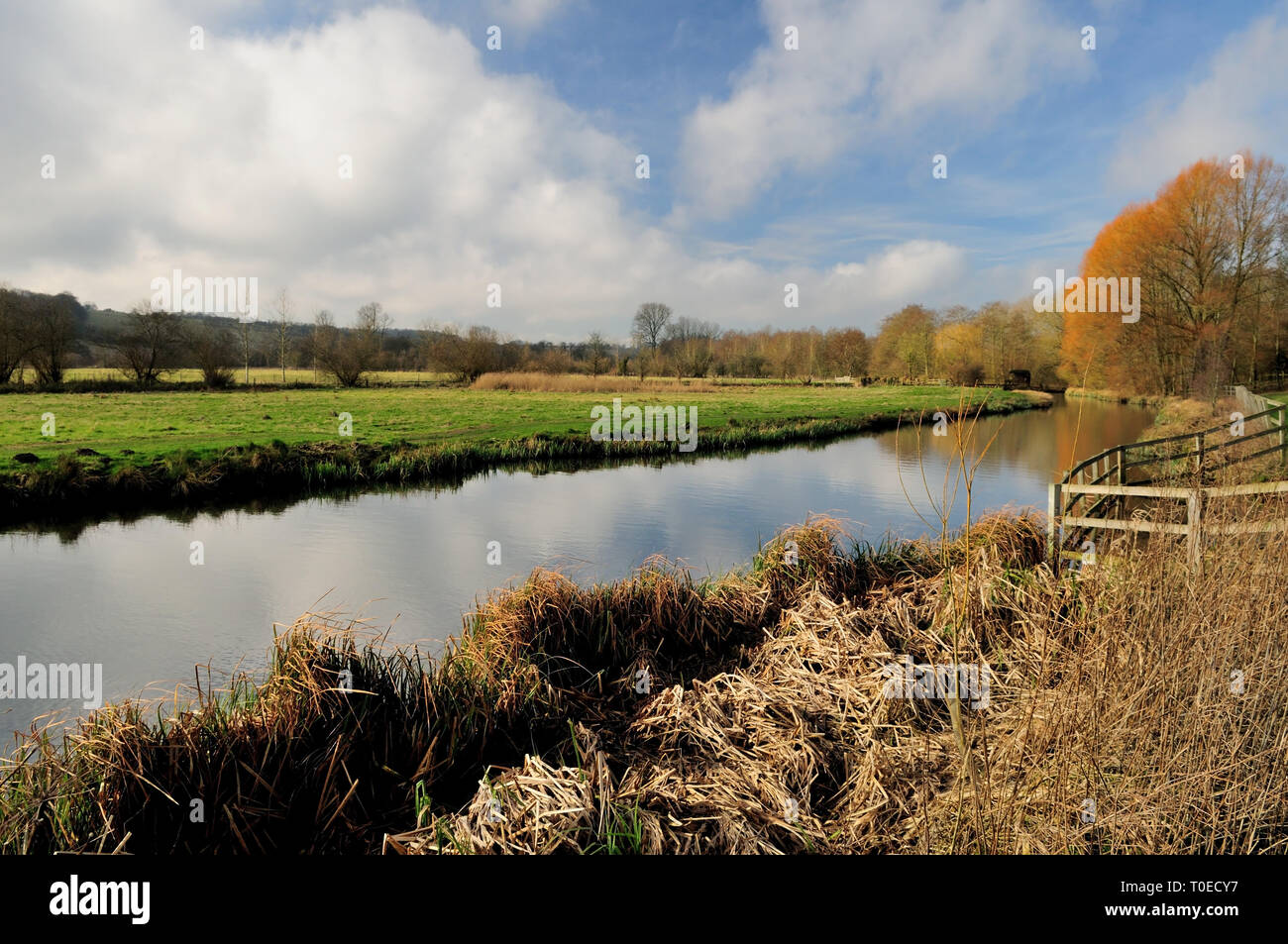 The river Kennet near Axford Stock Photo - Alamy