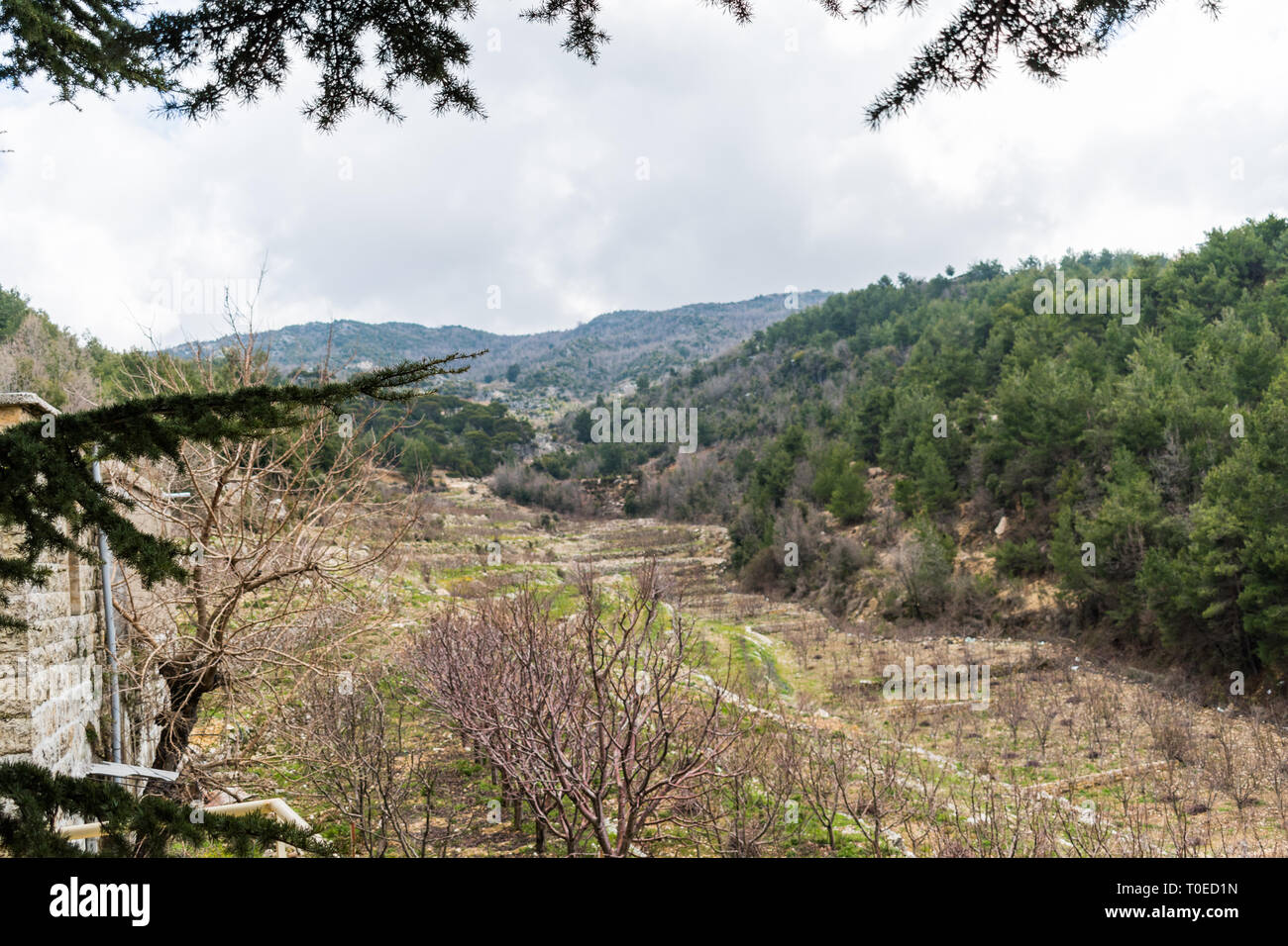 this is a capture for a landscape in Lebanon with a beautiful green ...