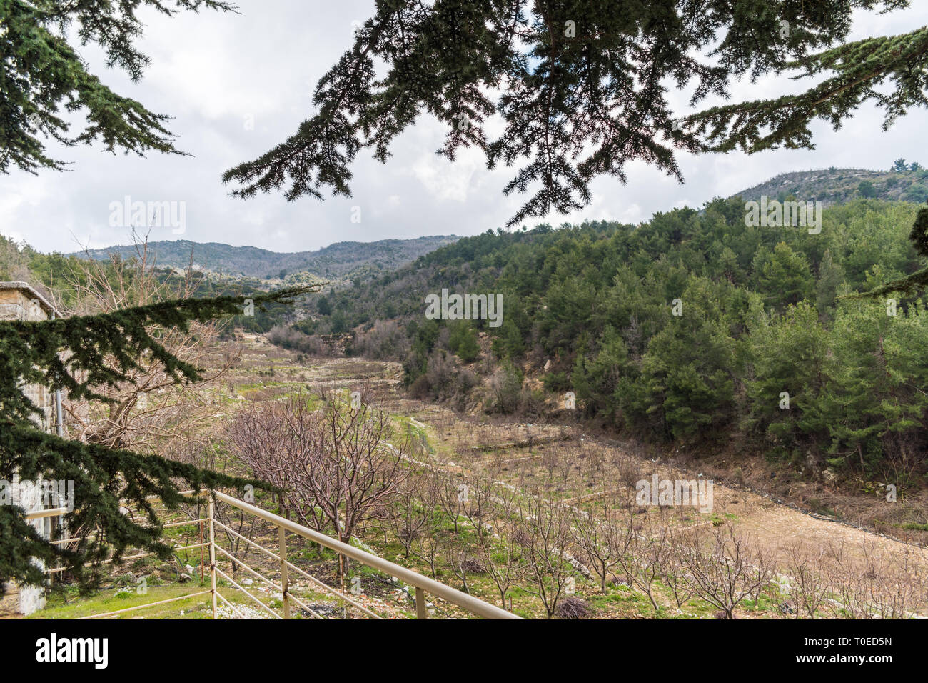 this is a capture for a landscape in Lebanon with a beautiful green ...