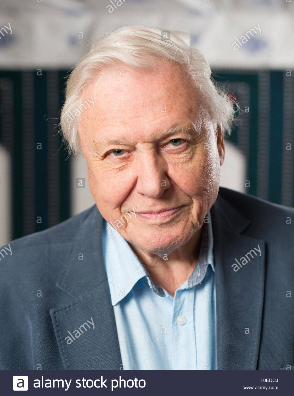David Attenborough Wildlife High Resolution Stock Photography and ...