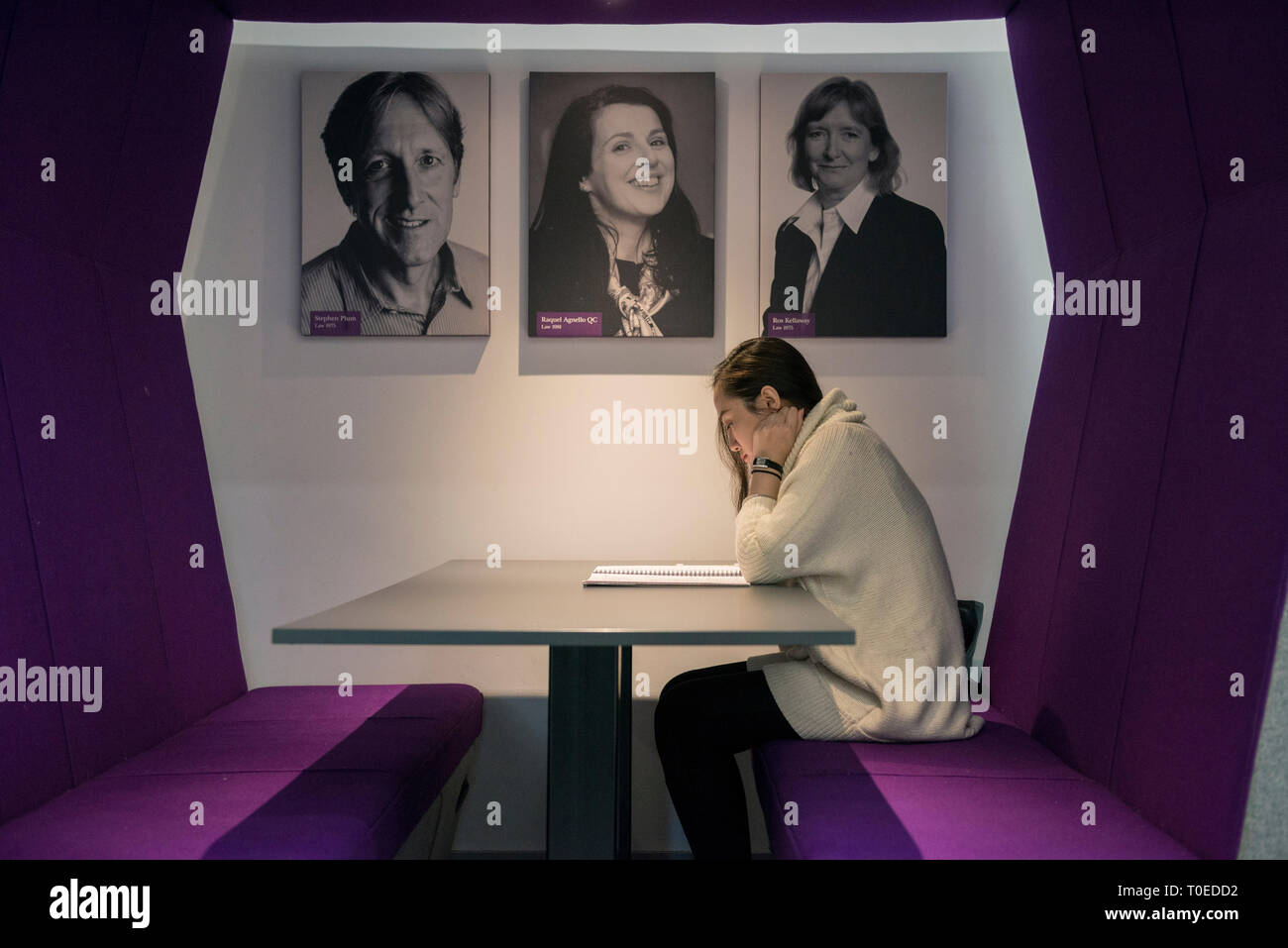 A young asian woman sits and works while reading in the modern communal ...