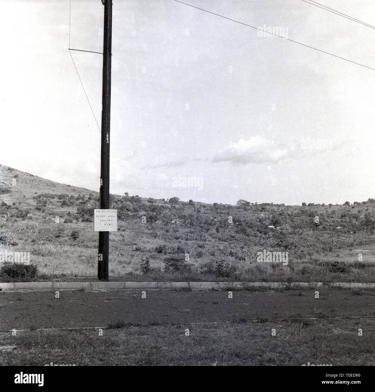 Notice on telegraph pole hi-res stock photography and images - Alamy