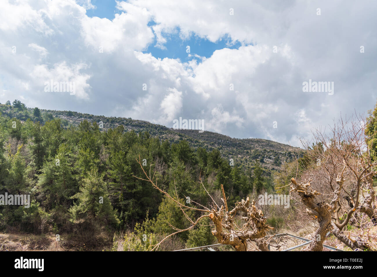 this is a capture for a landscape in Lebanon with a beautiful green ...