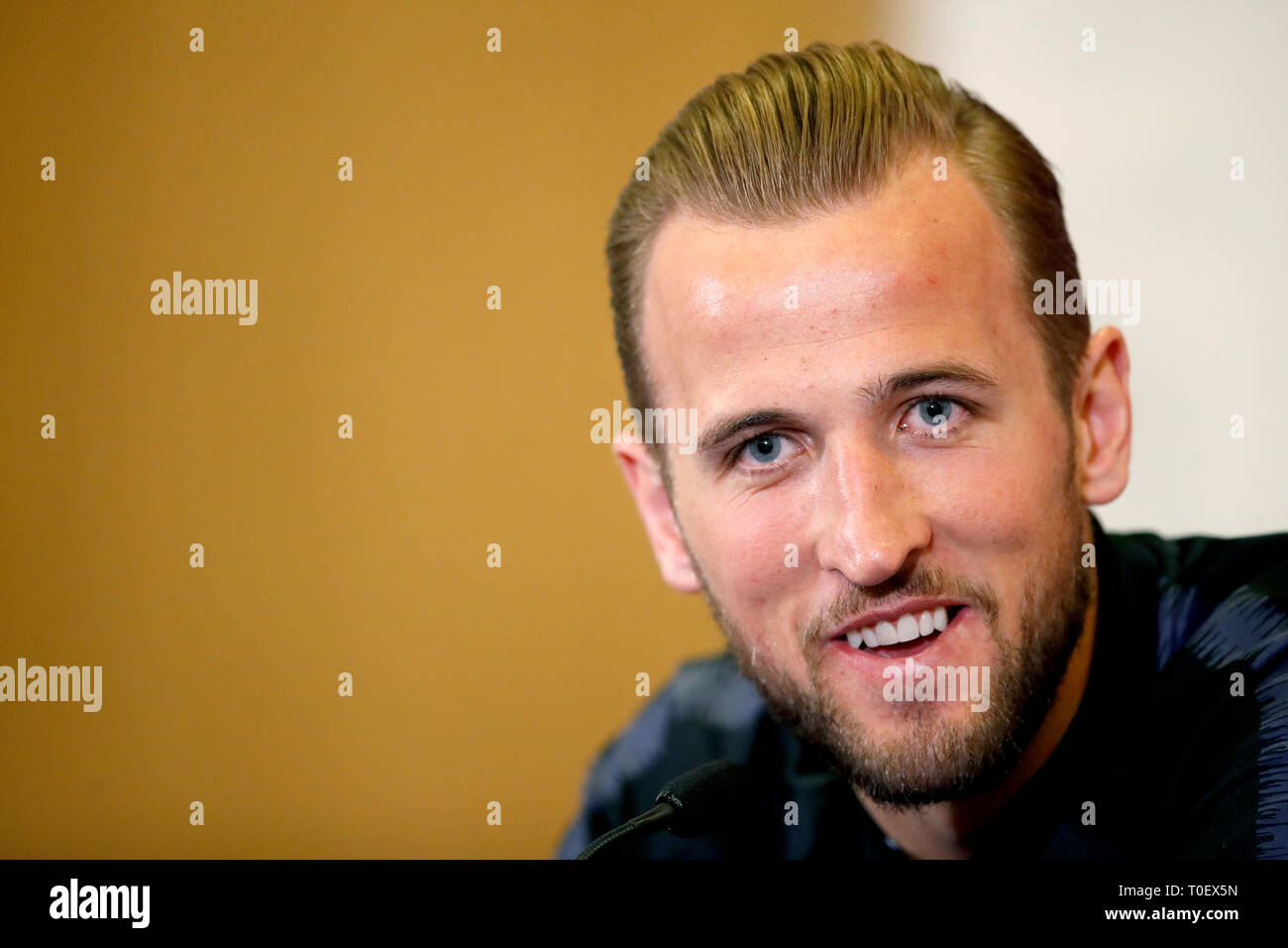 Harry kane portrait england hi-res stock photography and images - Alamy