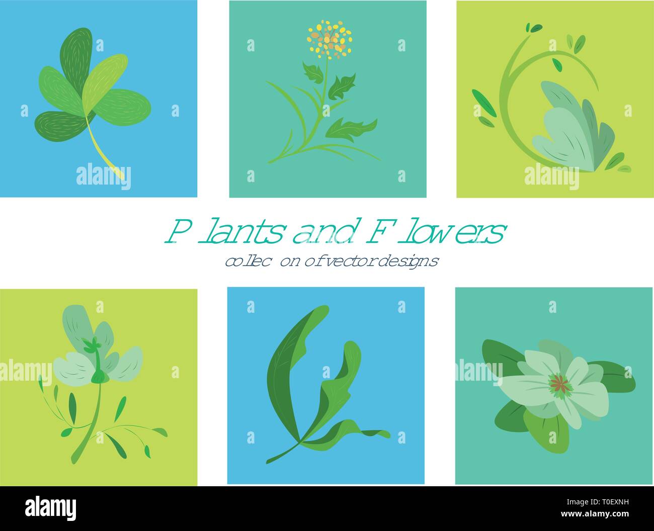 Vector collection of plants and flowers designs Stock Vector Image ...
