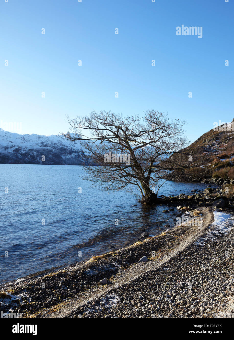 Loch Morar, Scottish Highlands, Scotland, Britain Stock Photo - Alamy