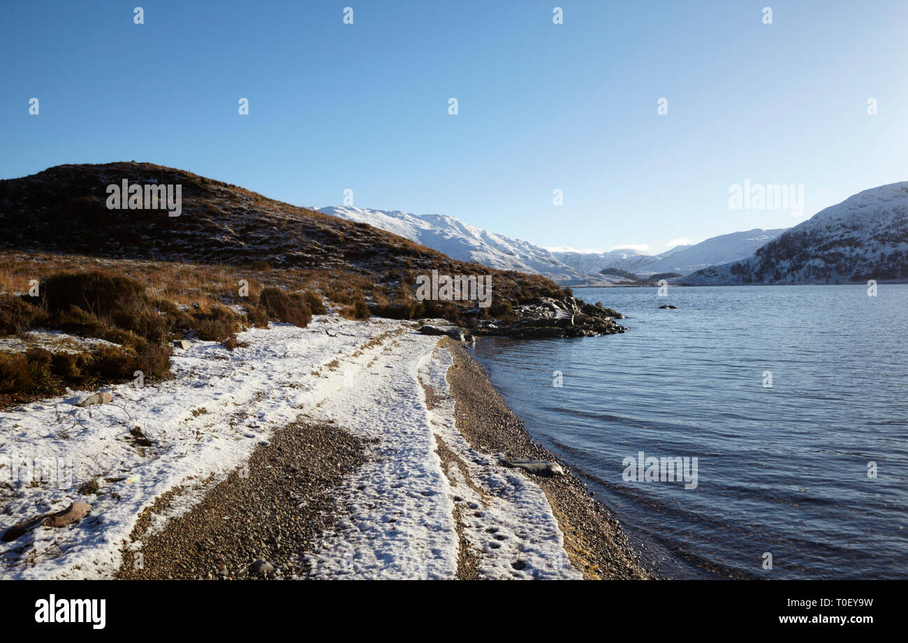 Loch Morar, Scottish Highlands, Scotland, Britain Stock Photo - Alamy