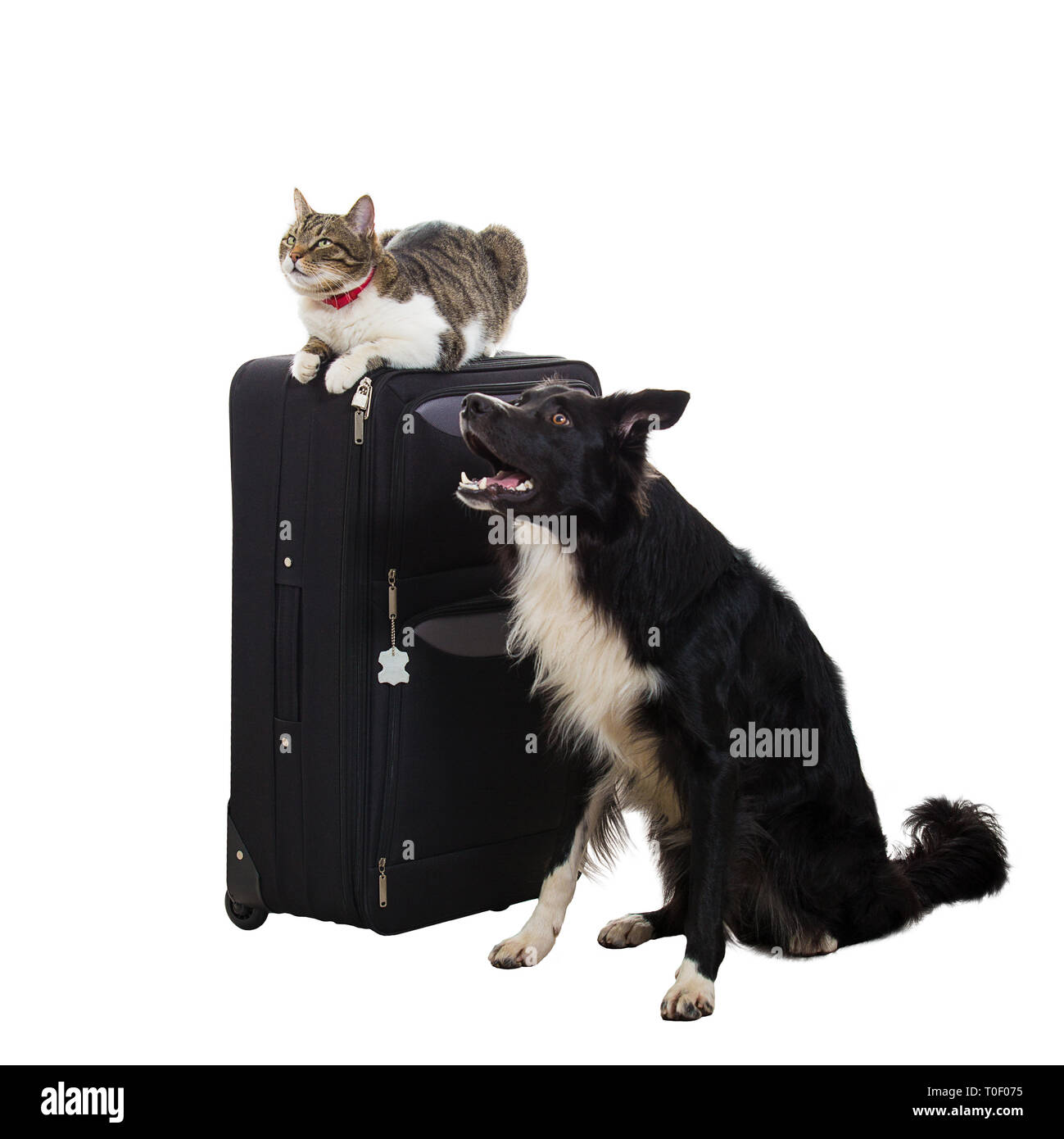 Hotel joy Cut Out Stock Images & Pictures - Alamy