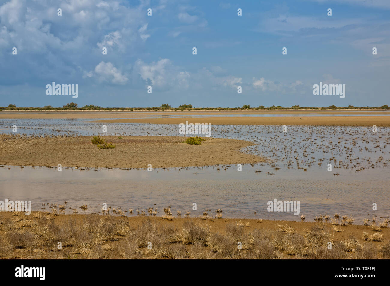 Water landscape in the Camargue. The Camargue is a fascinating and ...