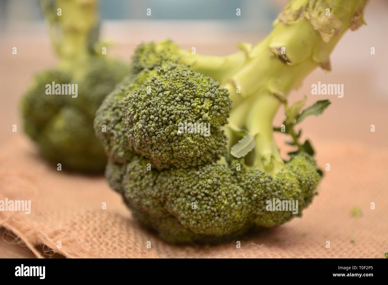 broccoli fresh green vegetable food organic vegetarian Stock Photo - Alamy