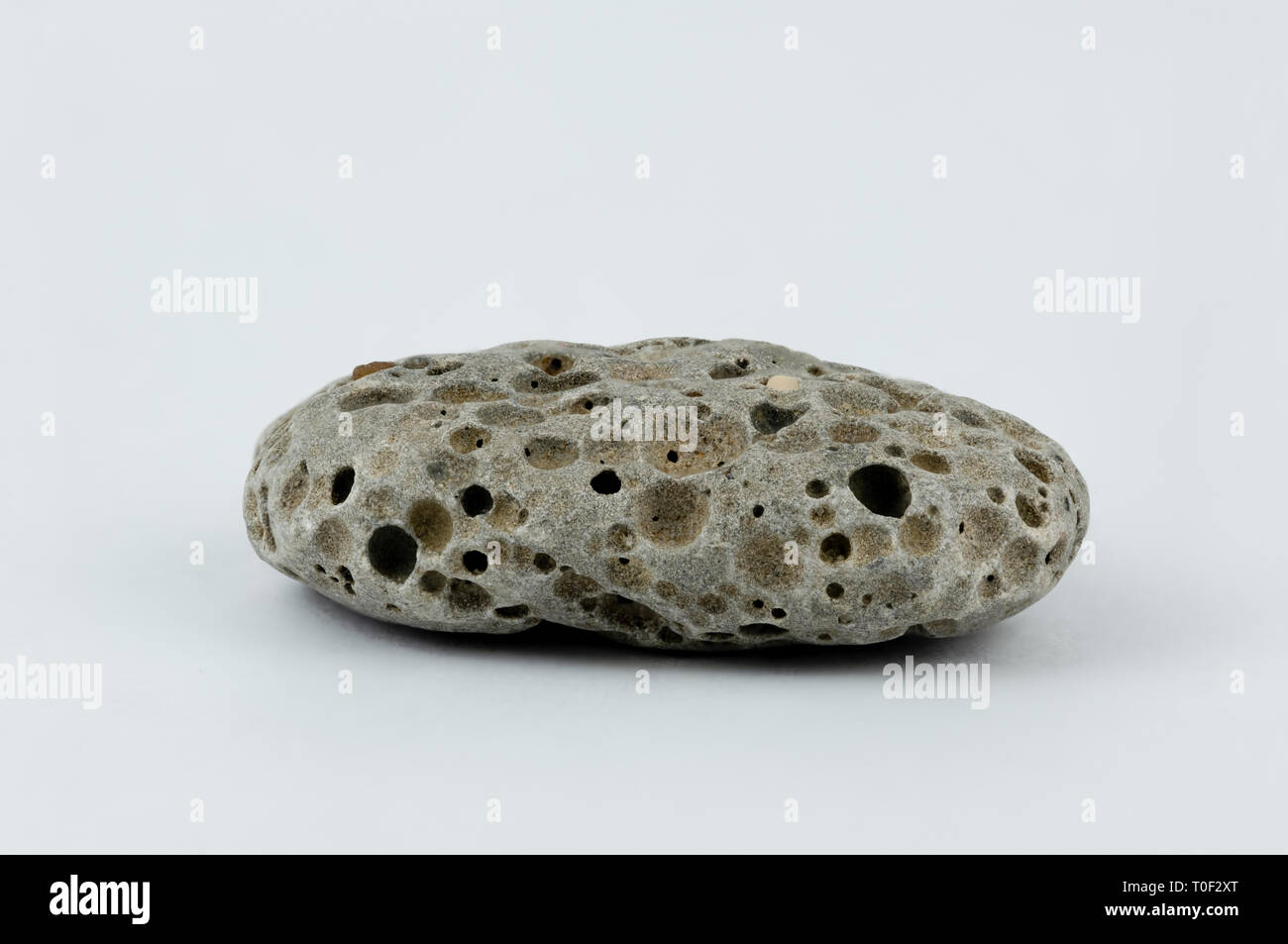 Macro image of a small, grey beach stone with many holes Stock Photo ...