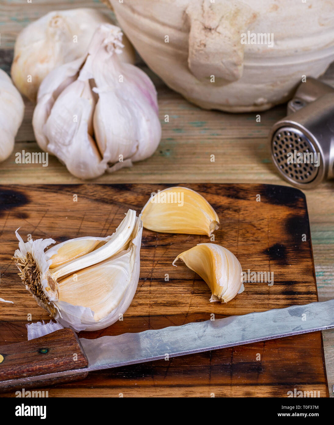 Garlic from own growing without artificial fertilizers, bio Stock Photo ...