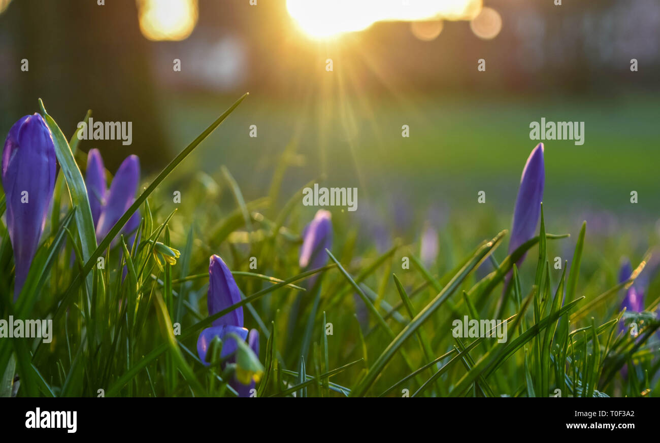 green summer landscape with beautiful weather and sunshine Stock Photo ...