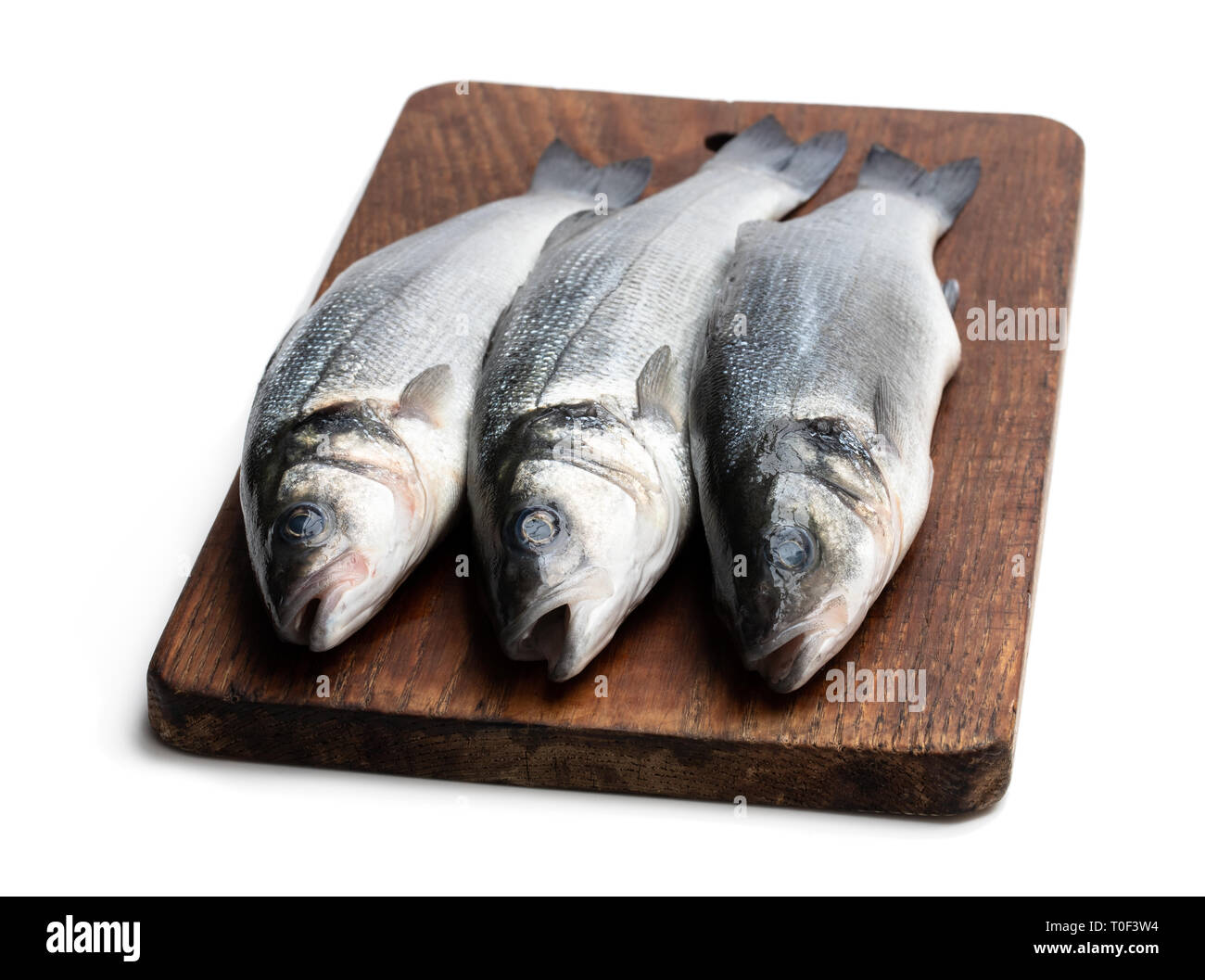 Freshwater bass Cut Out Stock Images & Pictures - Alamy