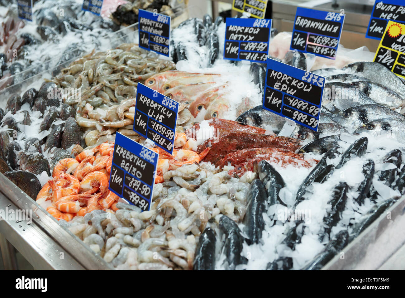 Variety of fish and seafood on cooled market display, TMs removed from ...