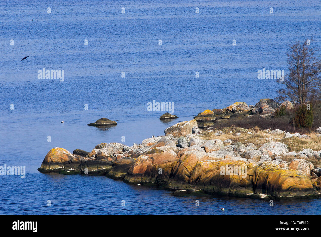 Blekinge sweden hi-res stock photography and images - Alamy