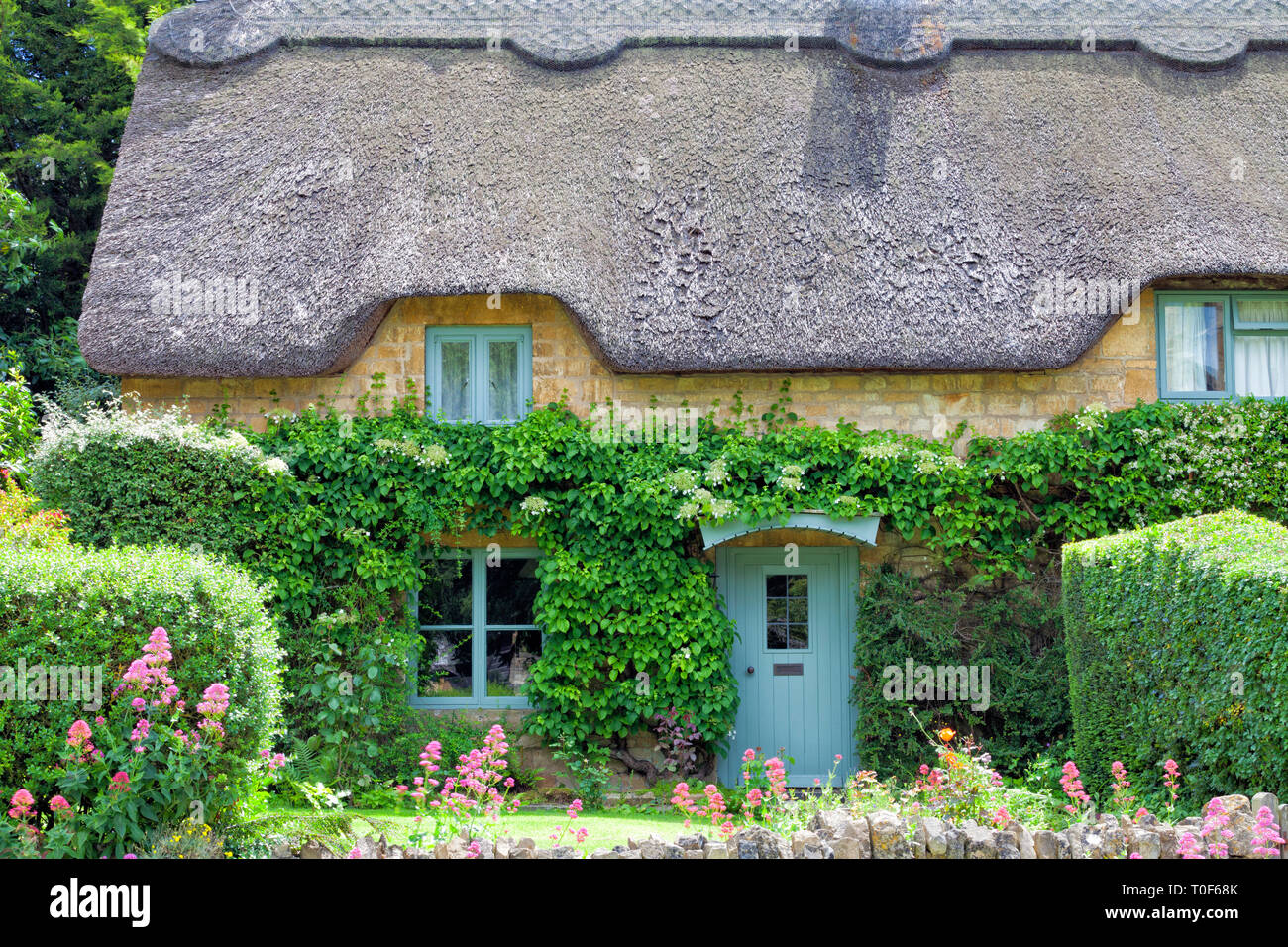 Traditional English stone cottage, with thatched roof, blue wooden ...
