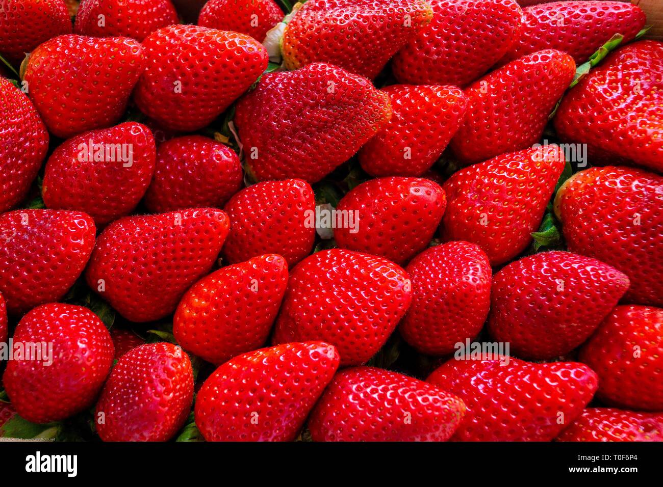 Strawberry. Fresh organic berries macro. Fruit background. directly ...