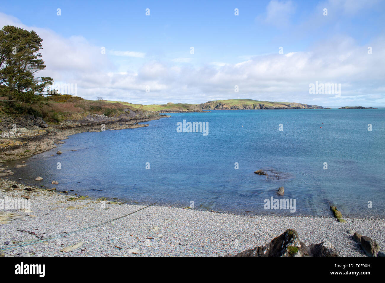 Castlehaven, West Cork, Ireland. 19th Mar 2019. A bright warm spring ...