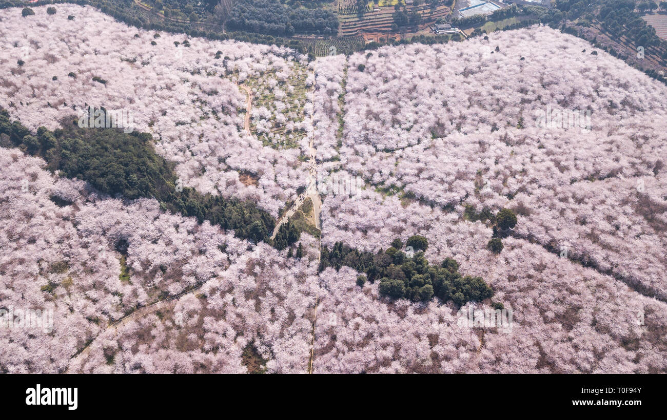 Gui'an, China. 19th Mar, 2019. Aerial photo taken on March 19, 2019 ...